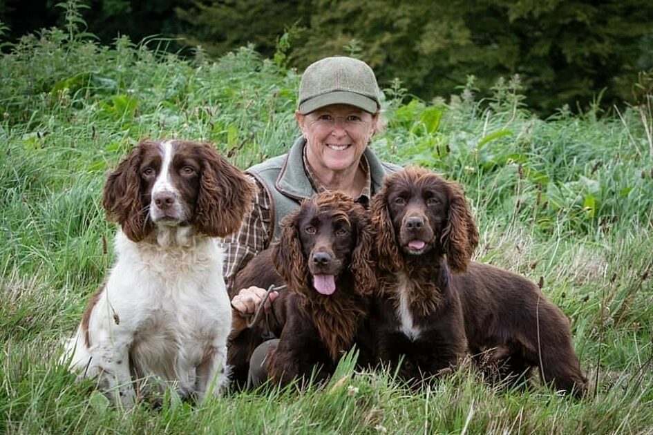 Sue's Training Tip's - From The Beginning – Masters Dog Foods